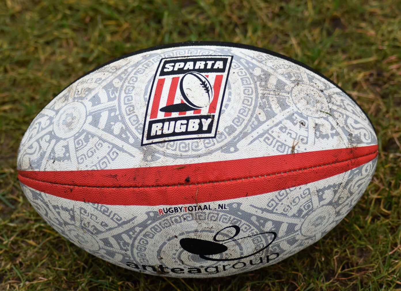 Sparta kampioen! | Sparta Rotterdam Fanzine In the Winning Mood